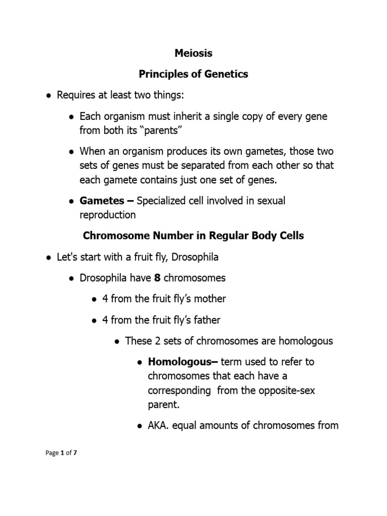 Understanding Meiosis and Gamete Formation | PDF | Meiosis | Ploidy