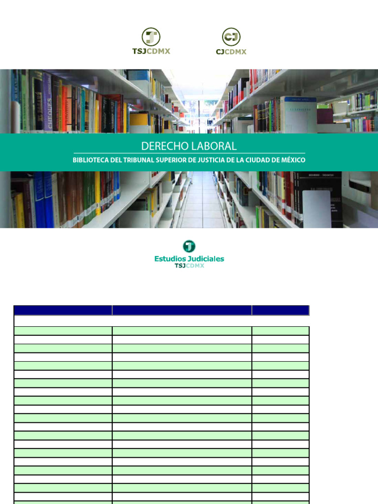 Derecho Laboral | PDF | Derecho laboral | Gobierno
