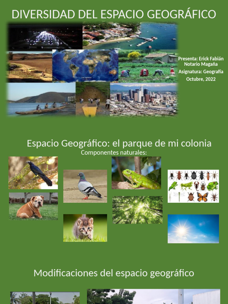 Espacio Geográfico | PDF