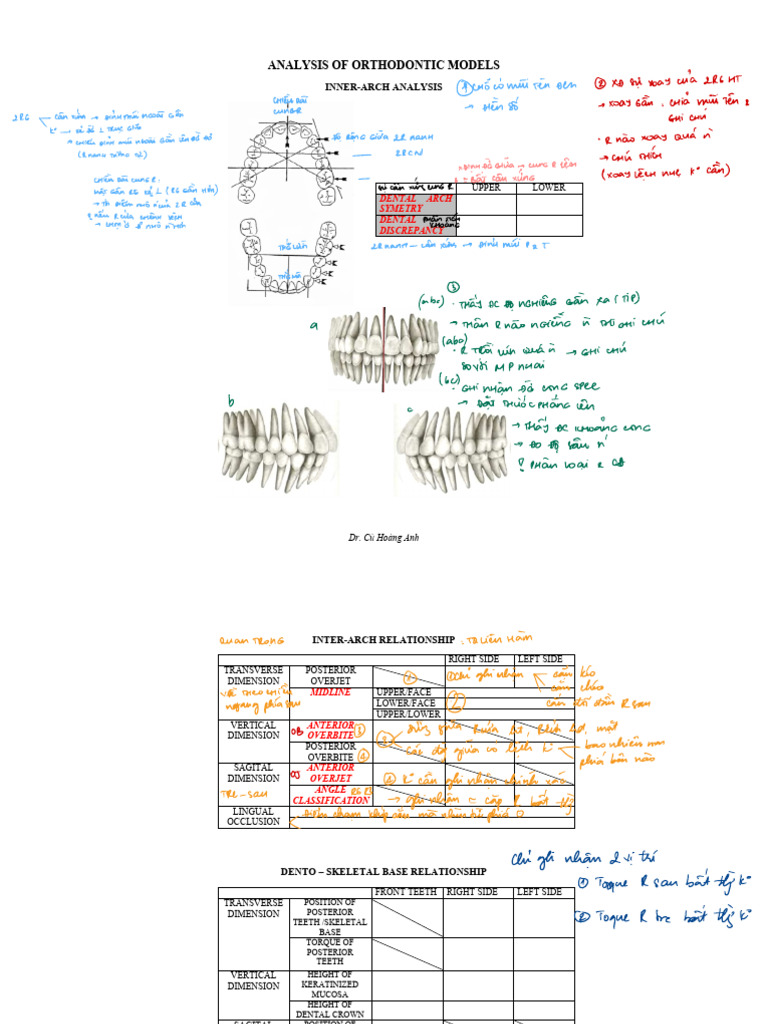 PTich mẫu hàm | PDF | Orthodontics | Primate Anatomy