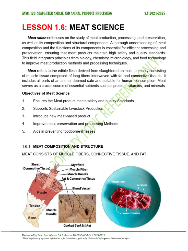 Ansci 120 Unit 1.6 Meat Science | PDF | Connective Tissue | Meat