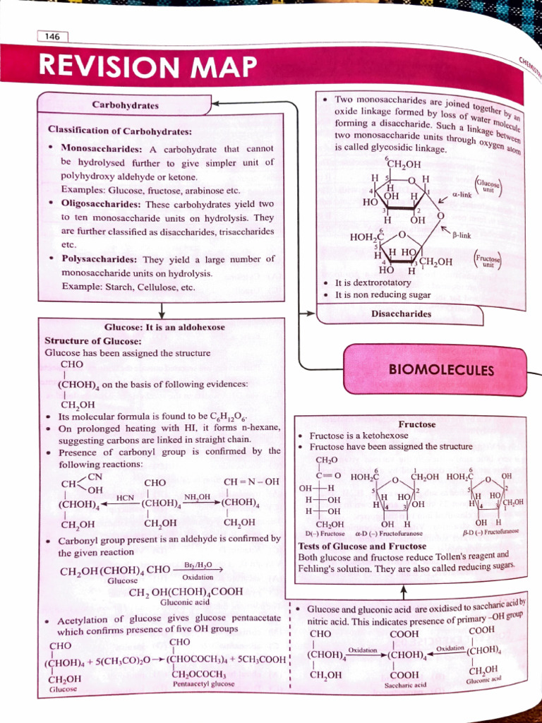 biomolecules mind map | PDF | Carbohydrates | Chemical Substances