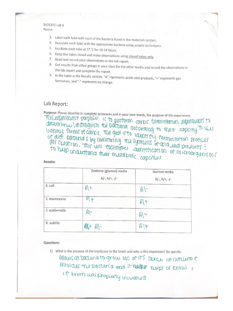 BIOS242 Lab 6-1 | PDF