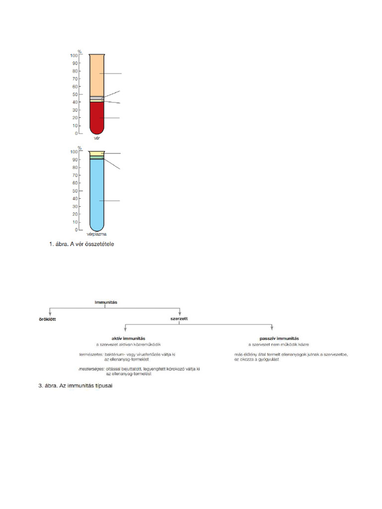 Ábrák Biosz 8. Osztály | PDF