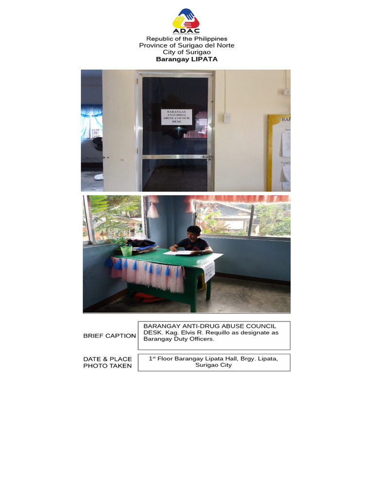 BADAC TEMPLATE Photo Documentation 1 | PDF