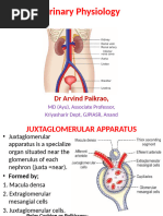 Understanding Lewis' Triple Response | PDF | Inflammation | Medical ...