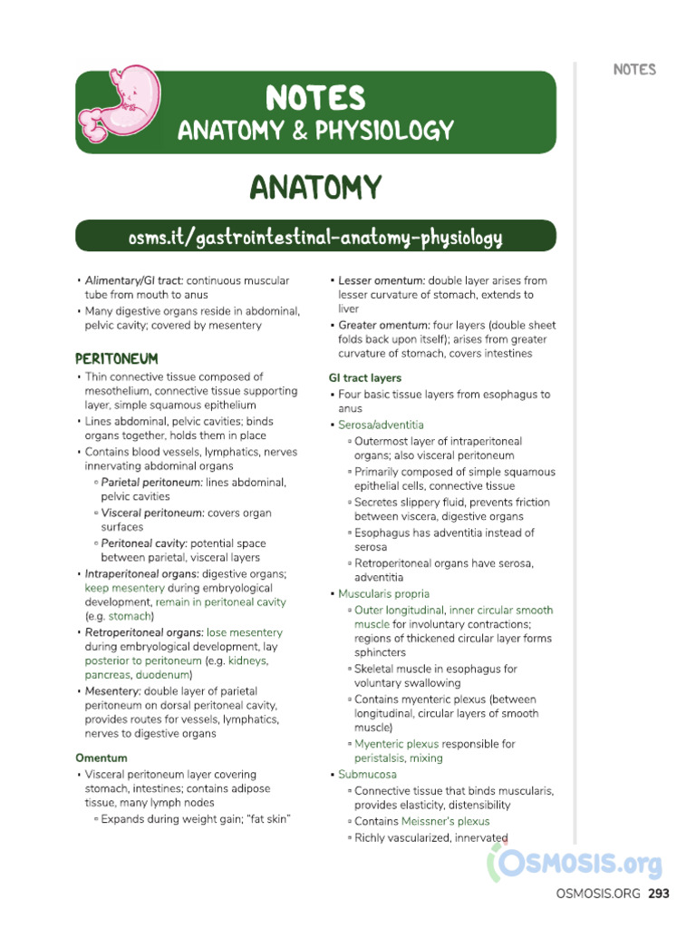 Gastrointestinal System Anatomy and Physiology - Video, Causes ...
