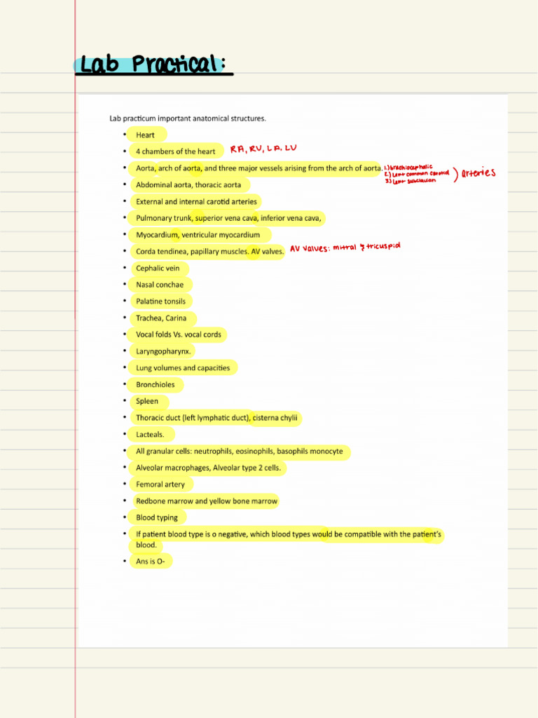 Lab Practical Review.pdf | PDF | Lung | Respiration