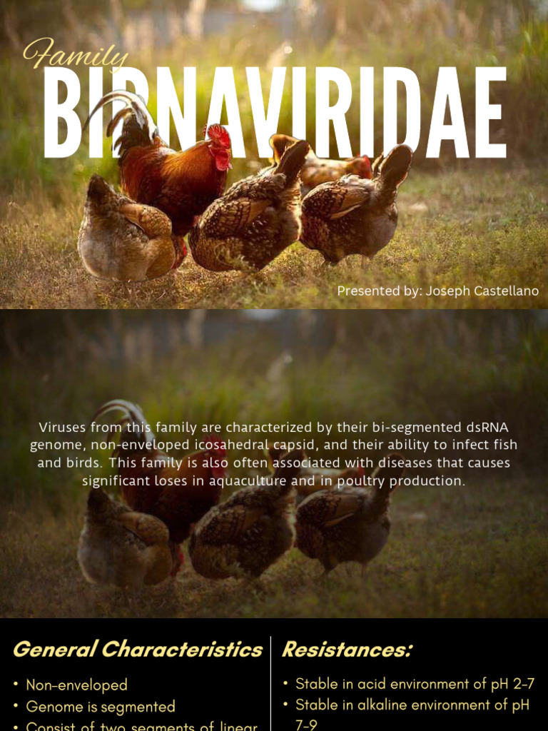 Presentation On The Genus Birnaviridae | PDF | Virus | Infection