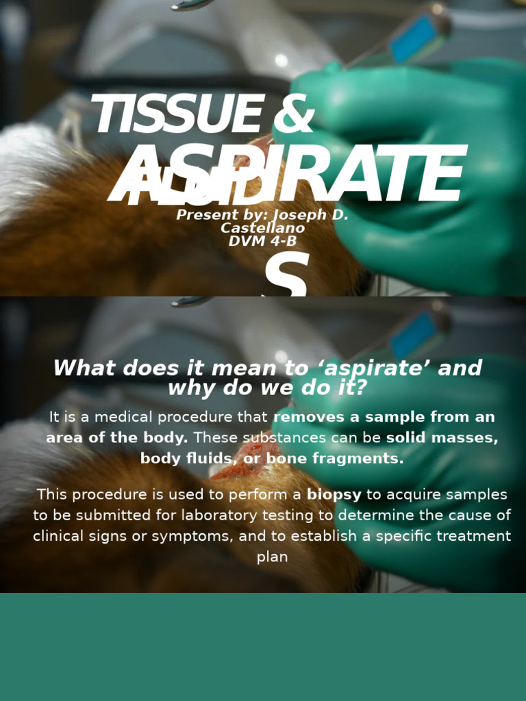 Tissue and Fluid Aspiration Techniques | PDF | Lymph Node | Lymphatic ...