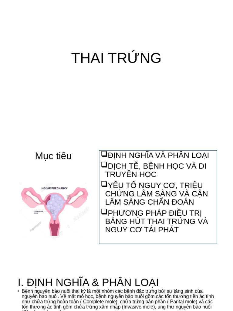 Thai TR NG | PDF