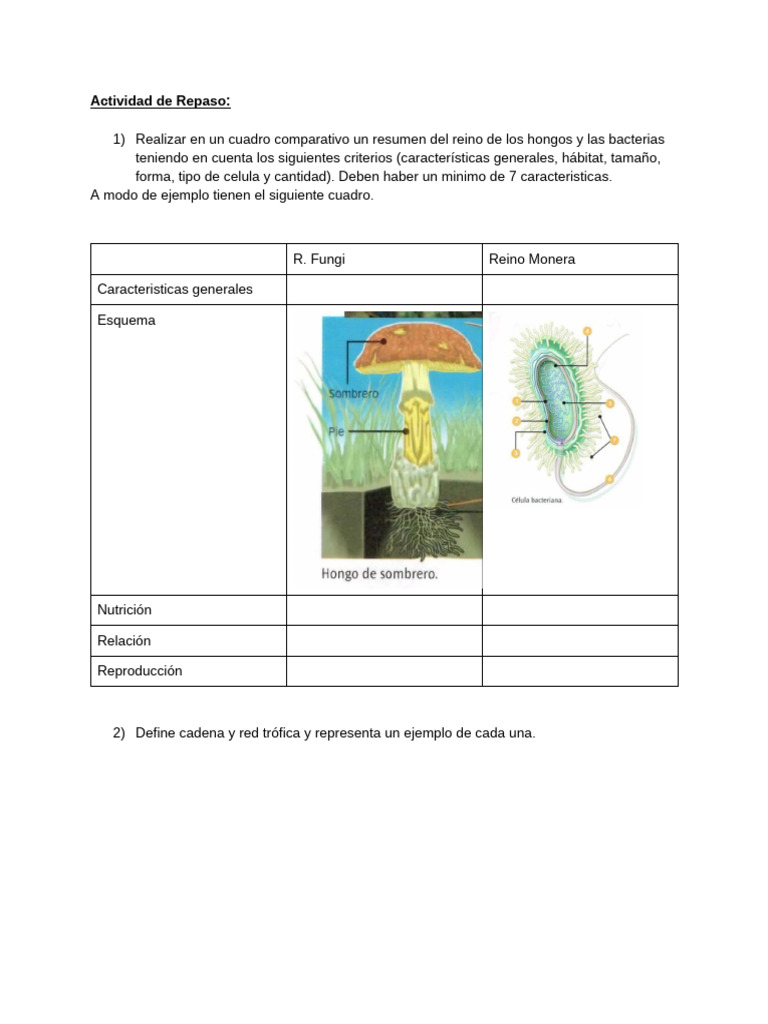Actividad de Repaso | PDF