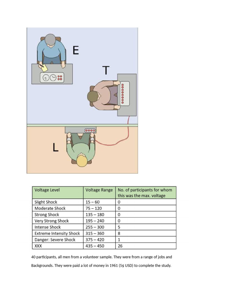 L8 Milgram Diagram Sample and Results | PDF