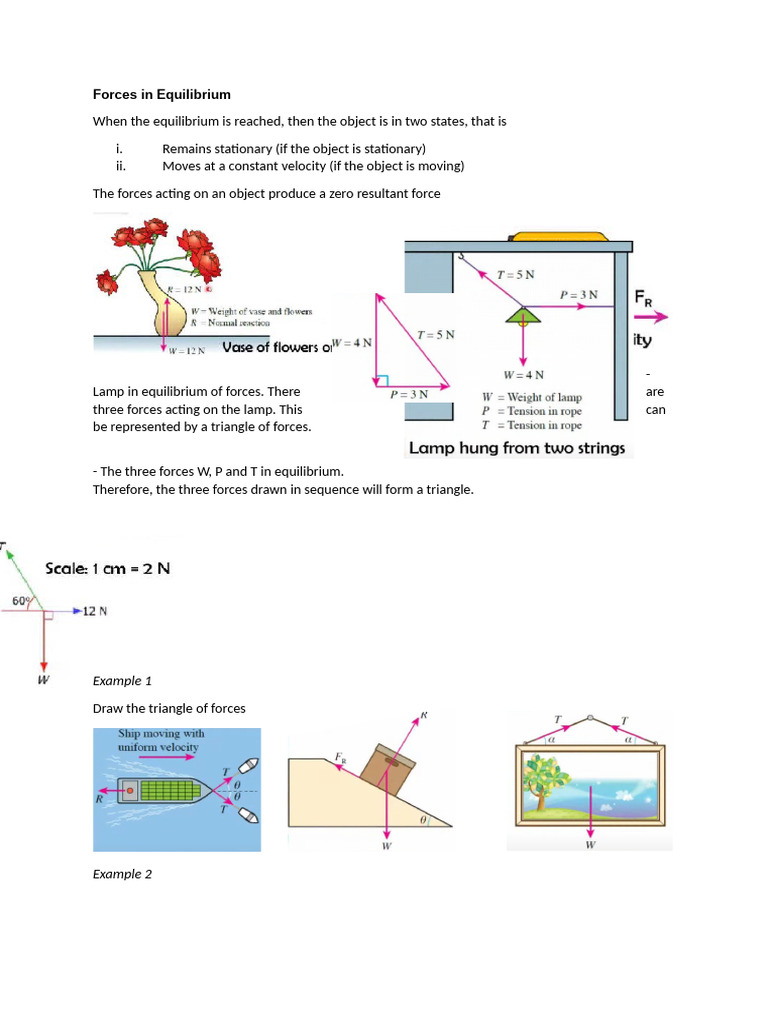 1.3 Forces in Equilibrium | PDF | Force | Tension (Physics)