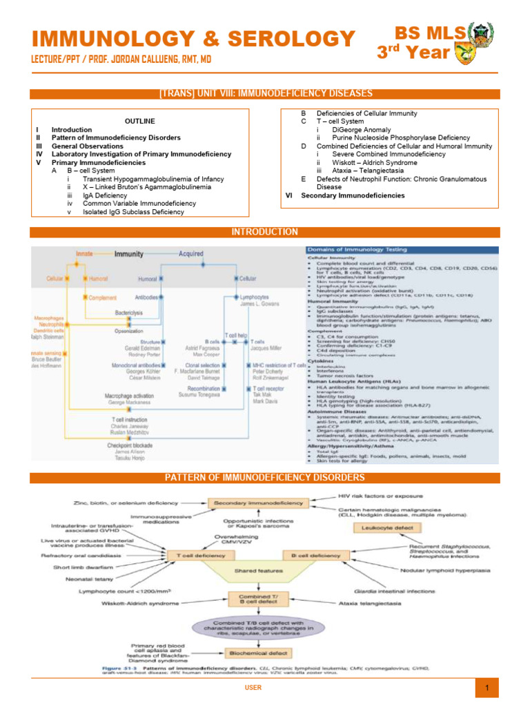 Immunodeficiency Diseases | PDF | Immunodeficiency | Immunoglobulin G