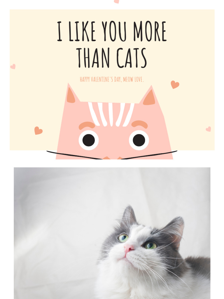 I Like You More Than Cats: Happy Valentine'S Day, Meow Love | PDF