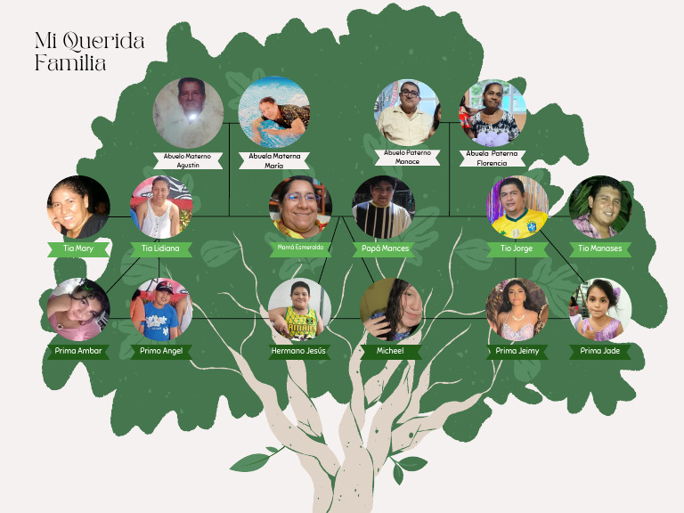 Árbol Genealógico Familiar Marco Fotos Ilustrado Verde - 20241104 ...