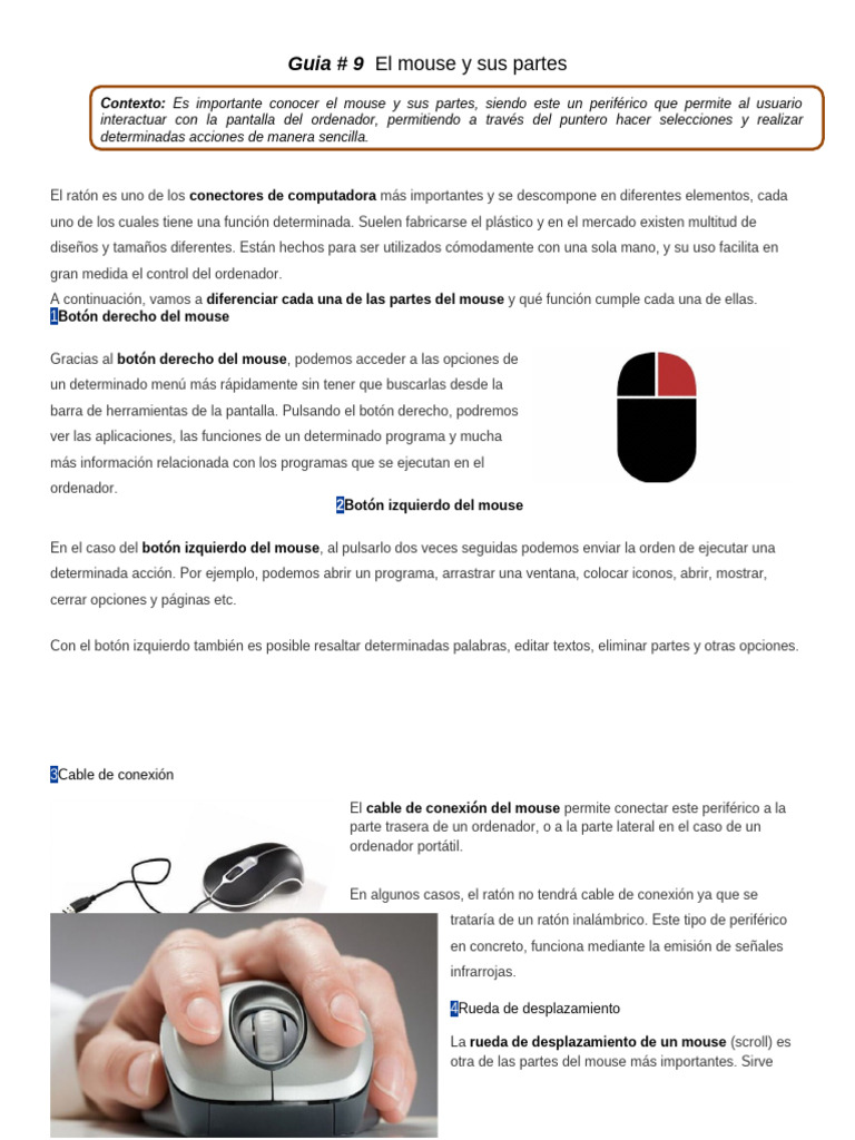Partes del mouse y su función | PDF | Botón (Computación) | Periférico