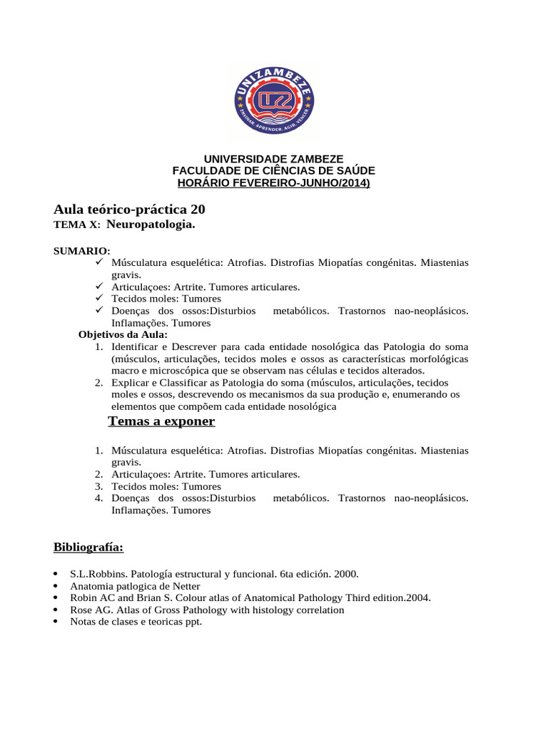 Guia de CTP 20 Osos y Muscdulos | PDF