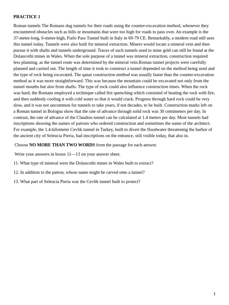 Reading Short-Answer Questions | PDF | Chimpanzee | Tunnel