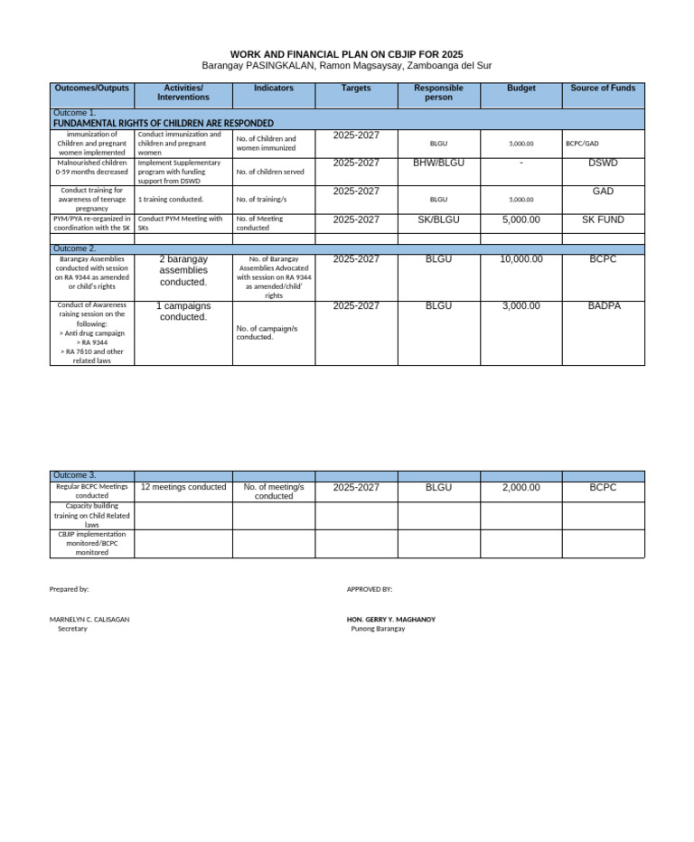 BCPC Work and Financial Plan 2025 | PDF