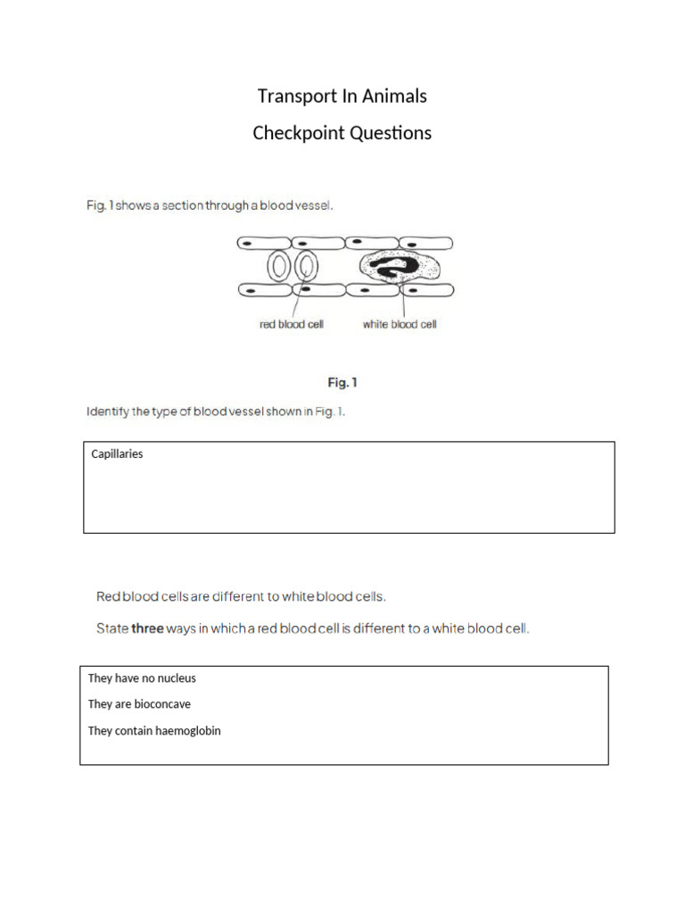 Transport in Animals Classwork | PDF