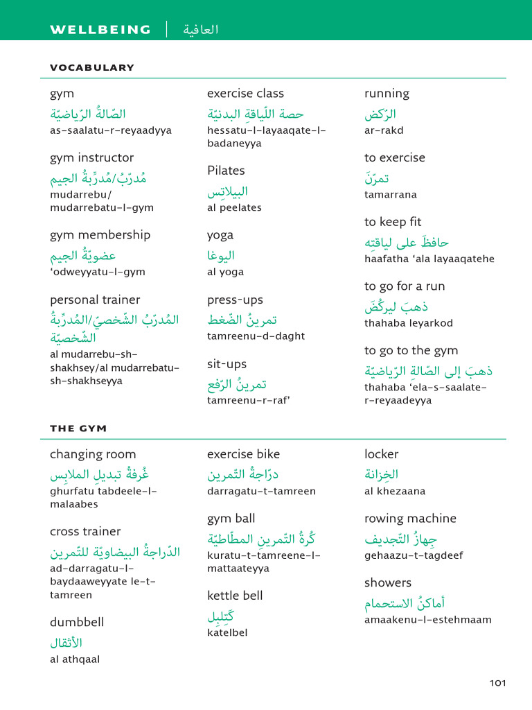 3000 Words and Phrases 2 | PDF