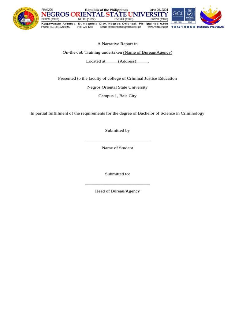 Narrative Report Format Docs | PDF