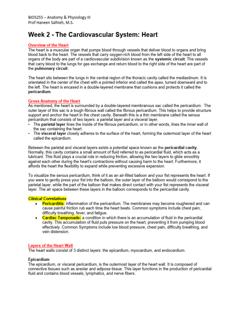 Ventricular Contraction and ESV Analysis | PDF | Heart Valve | Heart