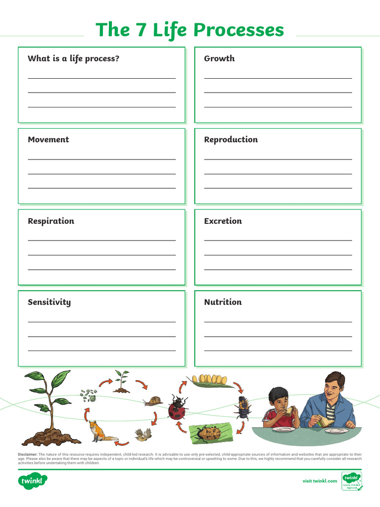 t Sc 1686038047 the 7 Life Processes Fact File Template Ver 1 | PDF