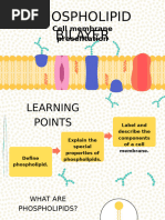 Diffusion Phet Simulation Sheet Pdf Cell Membrane Cell Biology