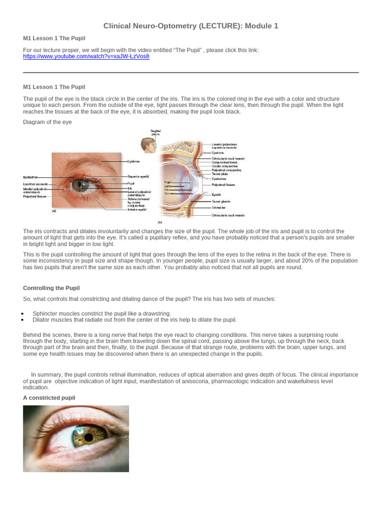 Clinical Neuro-Optometry (LECTURE) - Module 1 | PDF | Facial Features ...