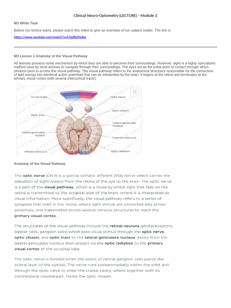 Clinical Neuro-Optometry (LECTURE) - Module 3 | PDF | Visual System ...