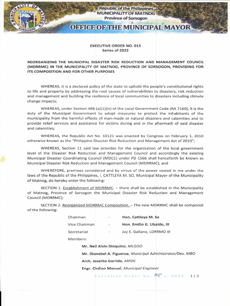 LDRRMC Reorganization and Composition | PDF