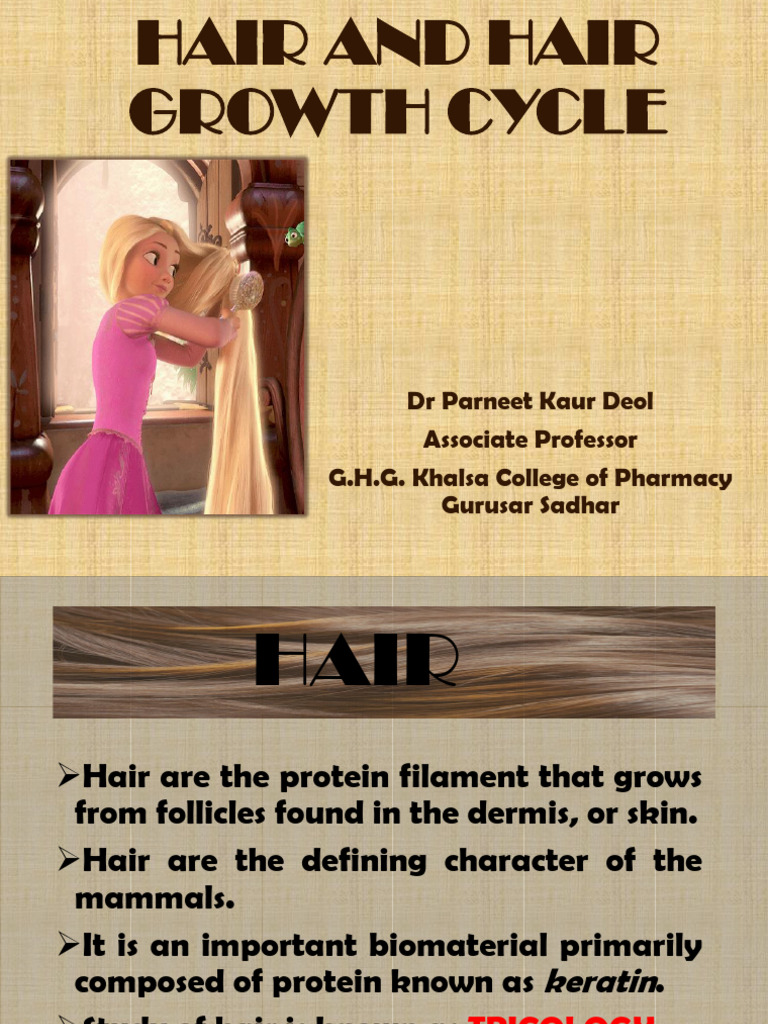 Hair Structure and Growth Cycle Overview | PDF