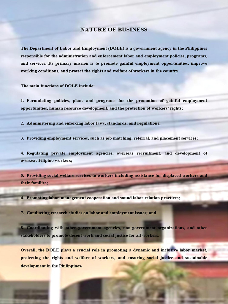 Nature of Business | PDF