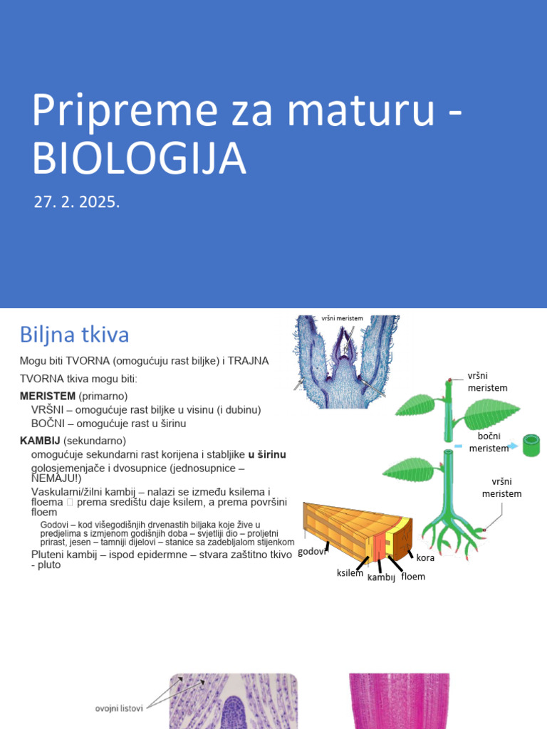 Predavanje - Biologija | PDF