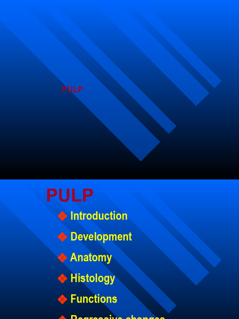 Overview of Dental Pulp Anatomy | PDF | Dental Anatomy | Animal Anatomy