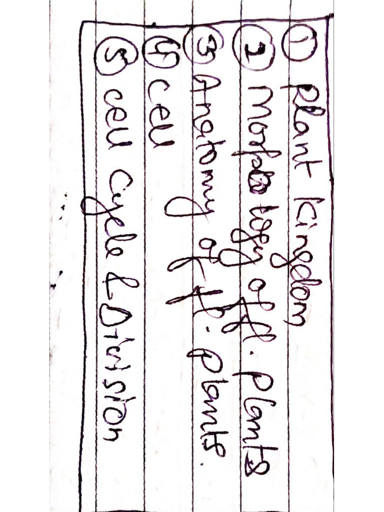 PDFReader_20250325_1424 | PDF