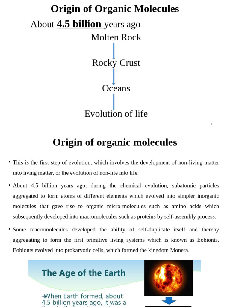 Origin of Organic Molecules Explained | PDF | Cell (Biology ...