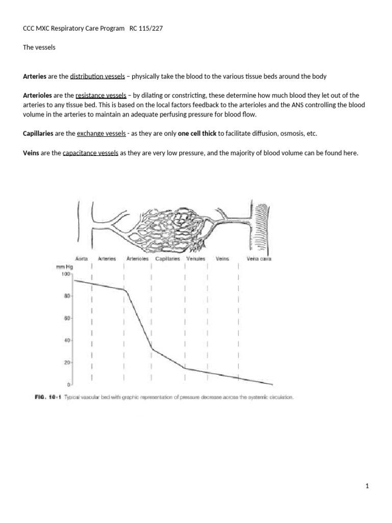 Understanding Heart Failure and Blood Flow | PDF | Circulatory System ...