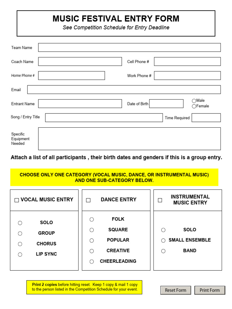 Music_Festival_Entry | PDF