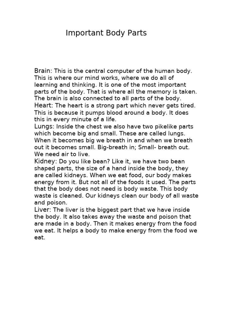 Key Human Body Parts Explained | PDF