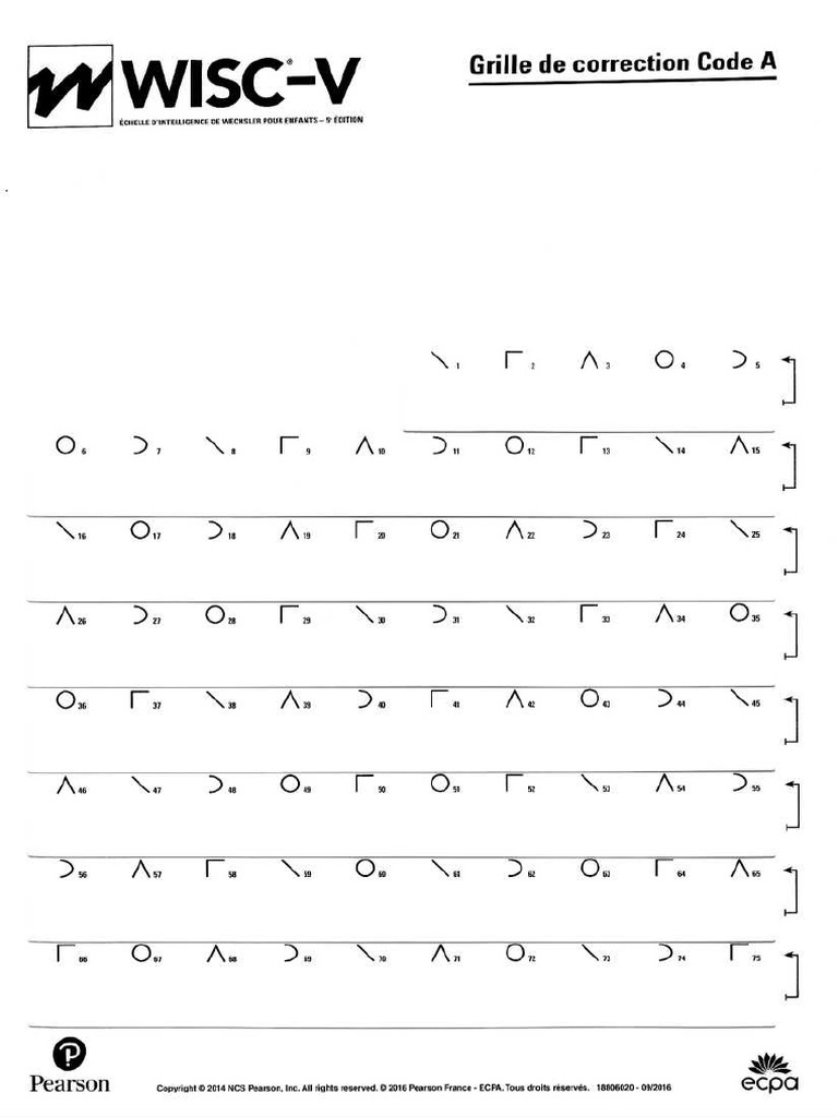 Wisc V - Grilles de Correction | PDF