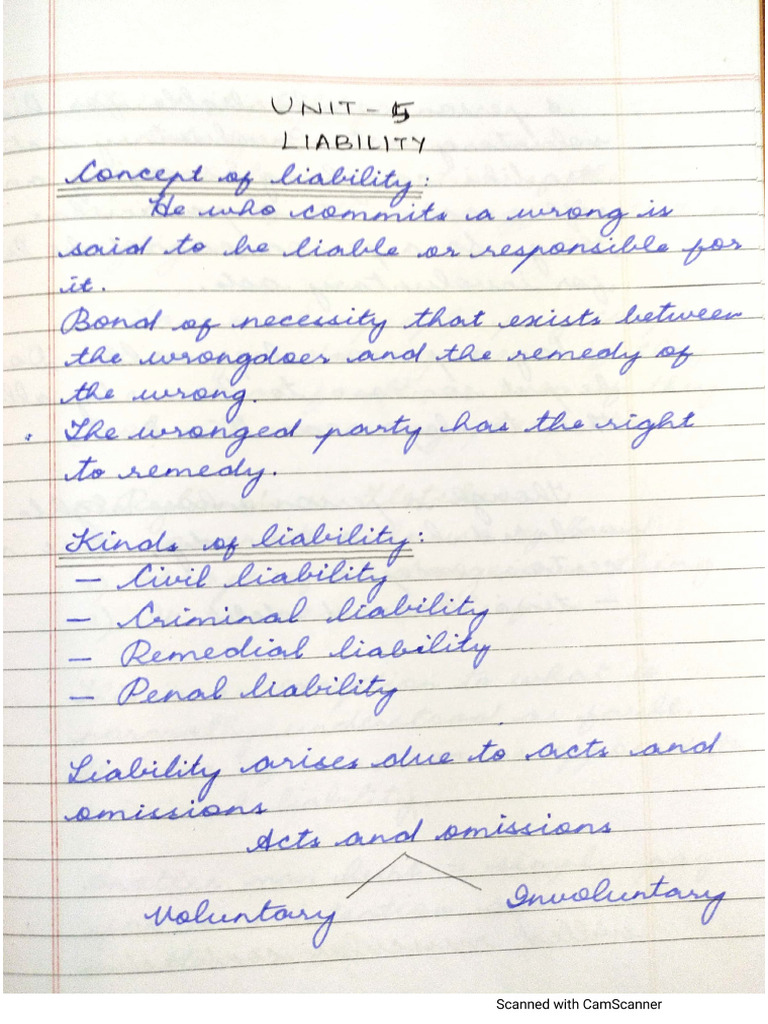 Jurisprudence Unit 5 | PDF