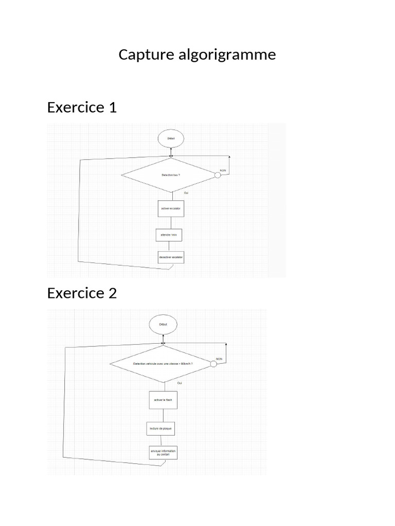 Capture Algorigramme Exercises Guide | PDF