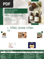 giới thiệu về Cocoon | PDF