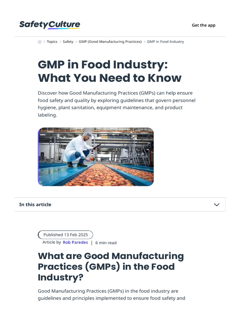 GMP Guidelines for Food Safety | PDF | Food Safety | Audit