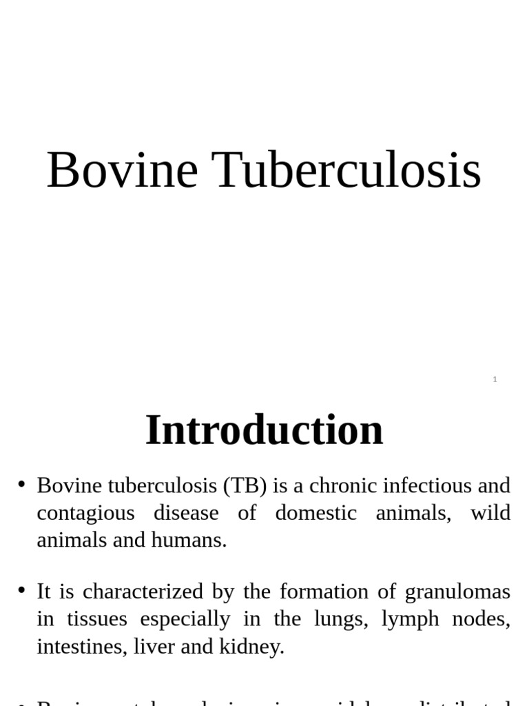 Bovine Tuberculosis: Causes and Diagnosis | PDF | Mycobacterium ...