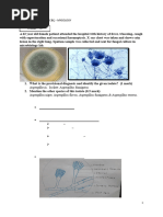 Understanding Skin Normal Flora | PDF | Staphylococcus | Streptococcus